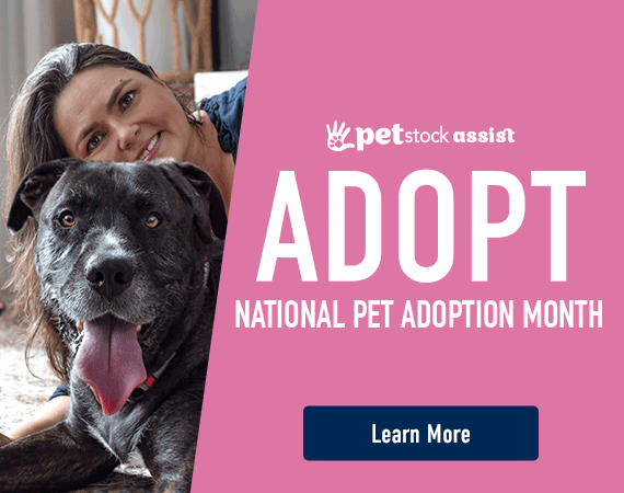 PETstock | Shop Pet Food & Supplies | 15 Min Click & Collect