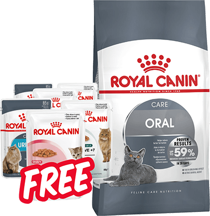 PETstock - Shop for Dog, Cat and Pet Food, Treats & Supplies