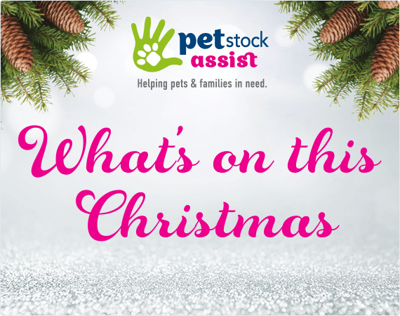 PETstock - Shop for Dog, Cat and Pet Food, Treats & Supplies