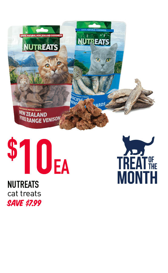 PETstock NZ - Shop Pet Food & Supplies | 15 Min Click & Collect