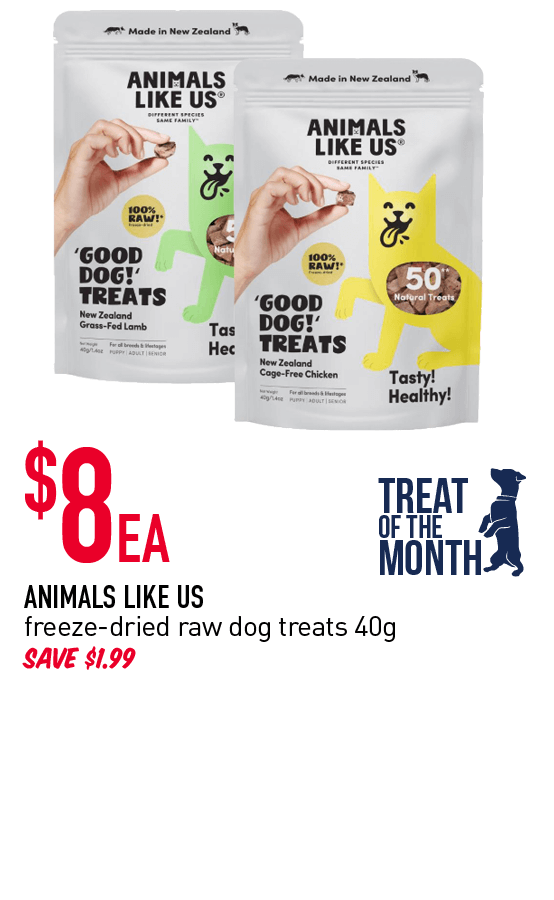 PETstock NZ - Shop Pet Food & Supplies | 15 Min Click & Collect